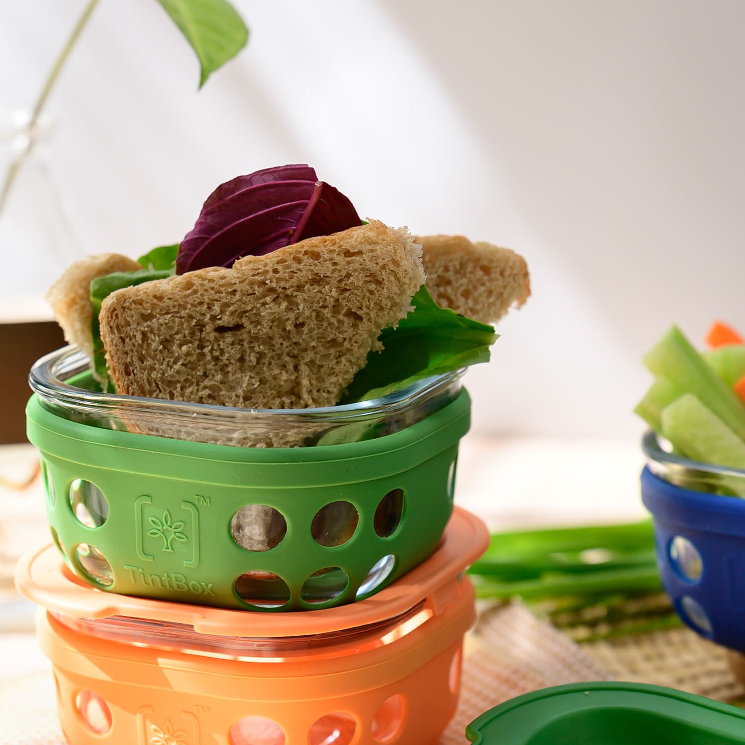 Tintbox Borosilicate Glass Lunch Box with Silicon Sleeve | Leak Proof ...