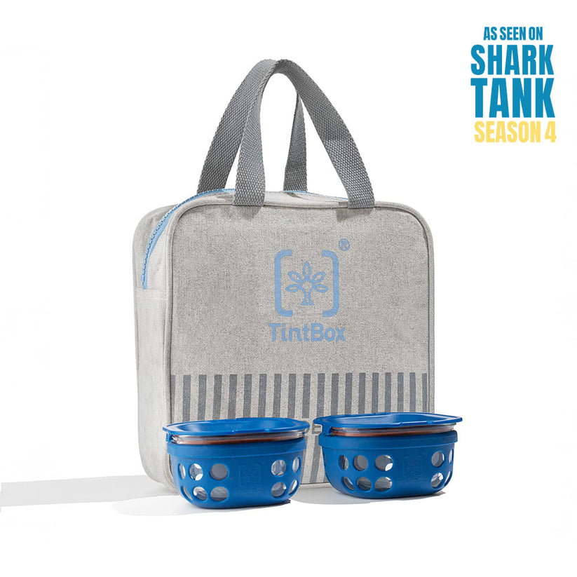 Borosilicate Glass Lunch Box Set of 2 with Canvas Carry Bag – TintBox